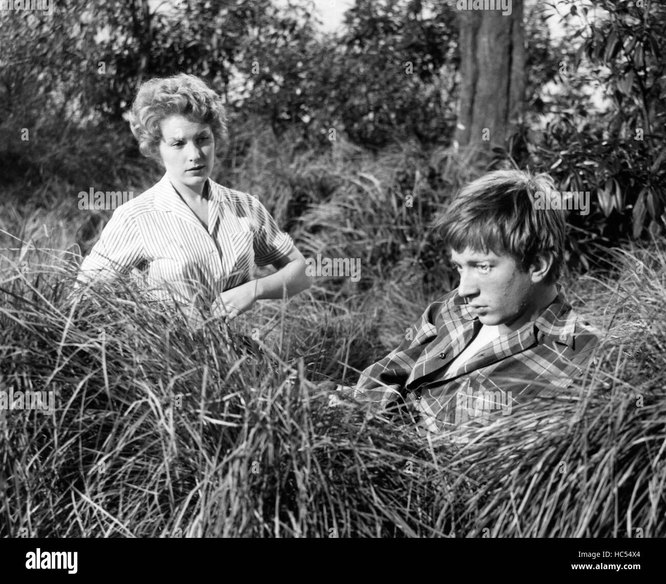 SERIOUS CHARGE, Leigh Madison, Andrew Ray, 1959 Stock Photo - Alamy