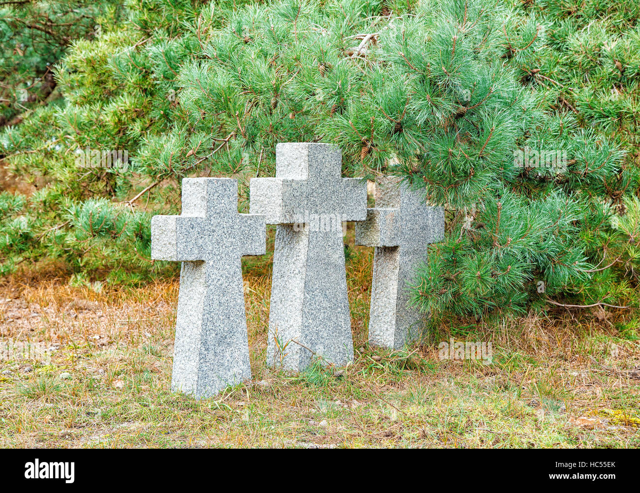 three stone crosses in the old cemetery on gloomy cold autumn day Stock ...