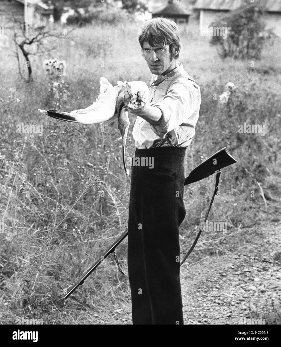 THE SEA GULL, David Warner, 1968 Stock Photo - Alamy
