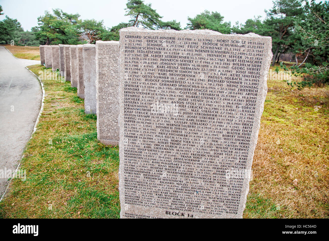 stone tombstones with the carved names of the old cemetery on cold ...