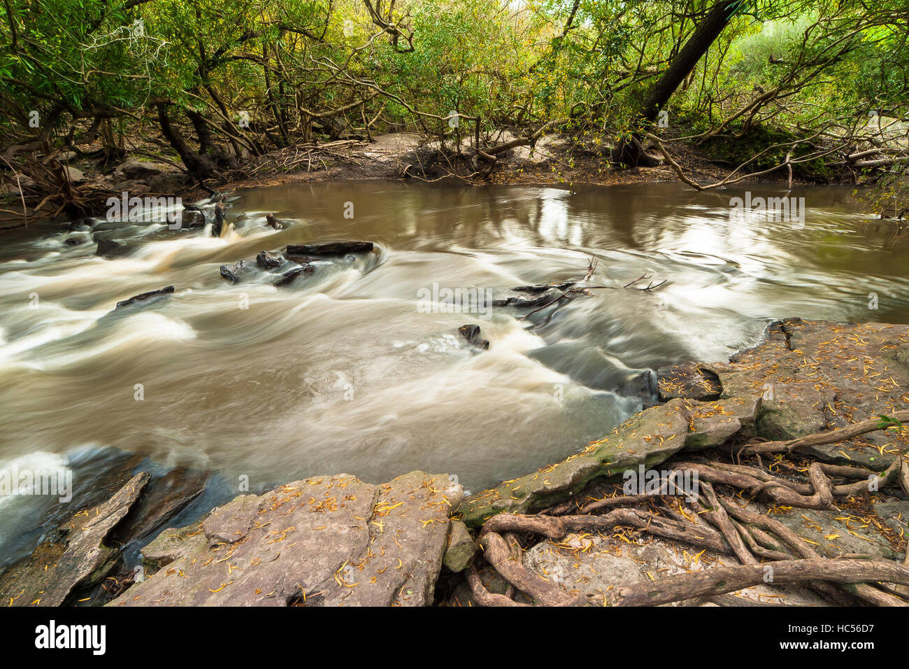 El Palmar Stream into the woods, El Palmar National Park, Entre Ríos ...