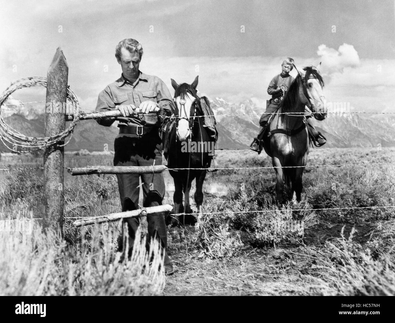 SHANE, Alan Ladd, Brandon De Wilde, 1953 Stock Photo - Alamy