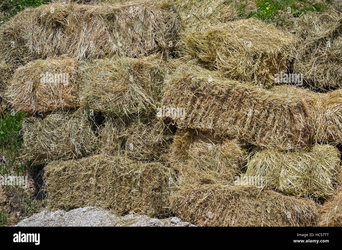 Closeup of many rolled bales of dry hay in the village Stock Photo - Alamy