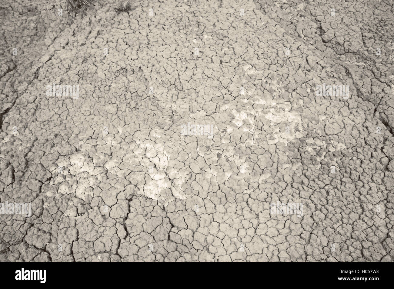 Open land in arid desert country, environment Stock Photo - Alamy