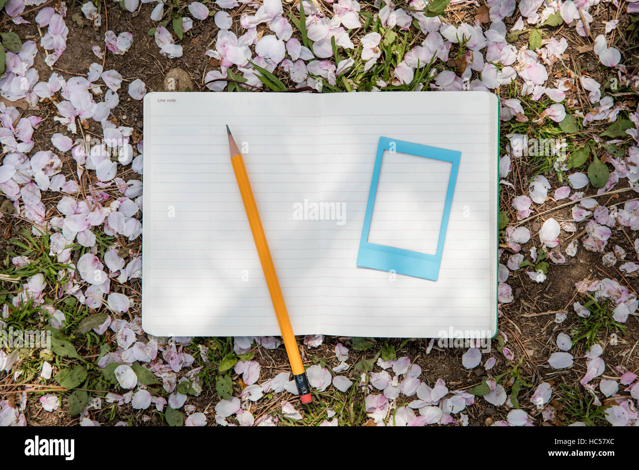 Pencil on a diary Stock Photo - Alamy