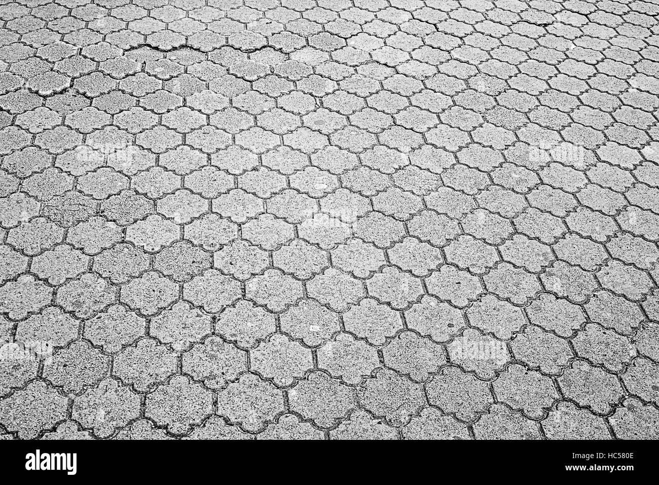 Brown forms Black and White Stock Photos & Images - Alamy