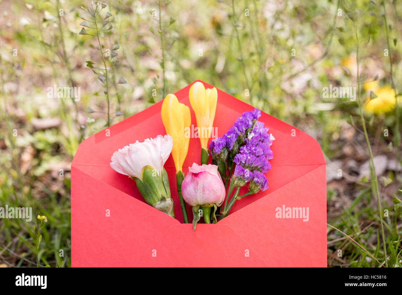 Flowers in an envelope Stock Photo - Alamy