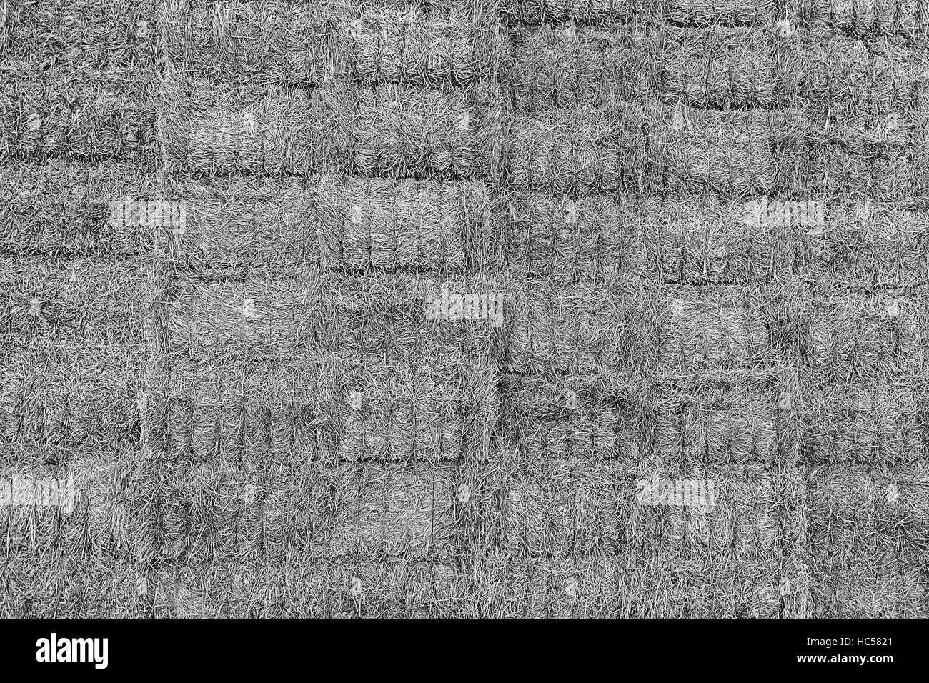 Straw texture background in Black and White Stock Photos & Images - Alamy