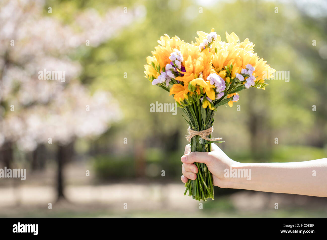Hand with spring flowers Stock Photo - Alamy