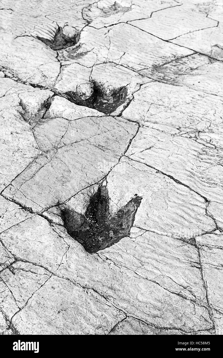 Civilization footprint Black and White Stock Photos & Images - Alamy