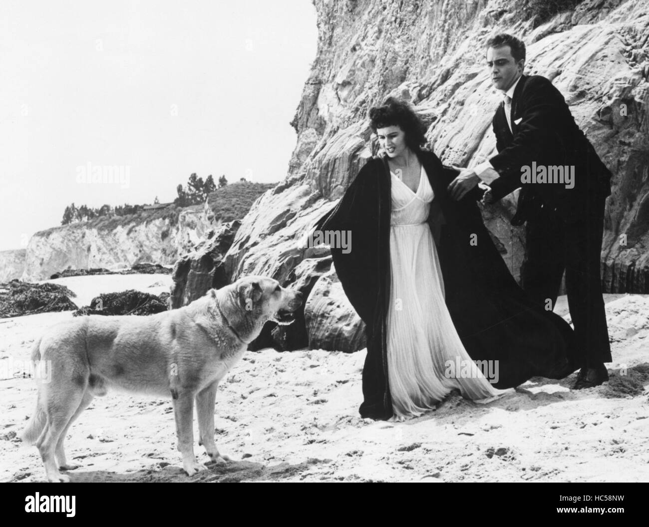 THE SHE-CREATURE, Marla English, 1956 Stock Photo - Alamy