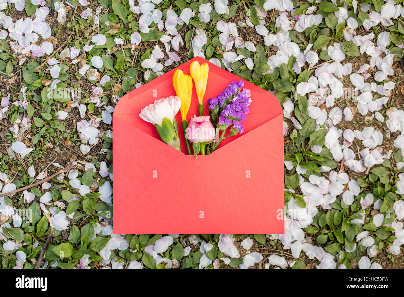 Spring flowers in an envelope Stock Photo - Alamy