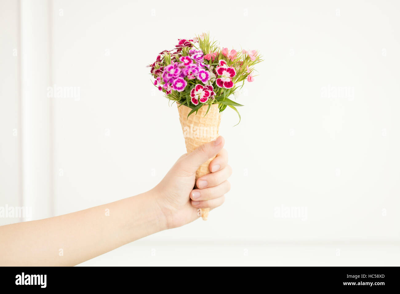 Hand holding flowers in a cone Stock Photo - Alamy