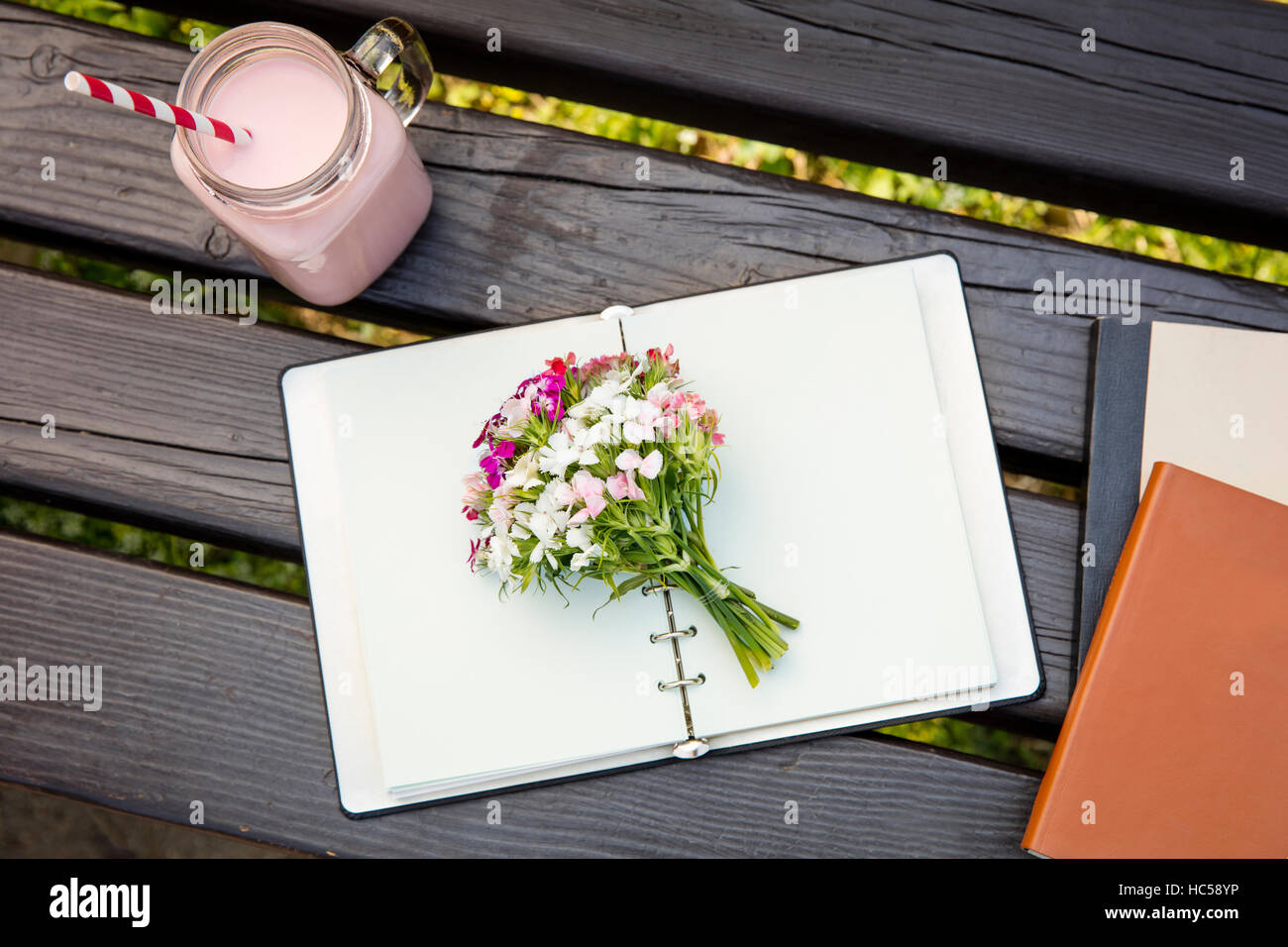 Botany diary hi-res stock photography and images - Alamy