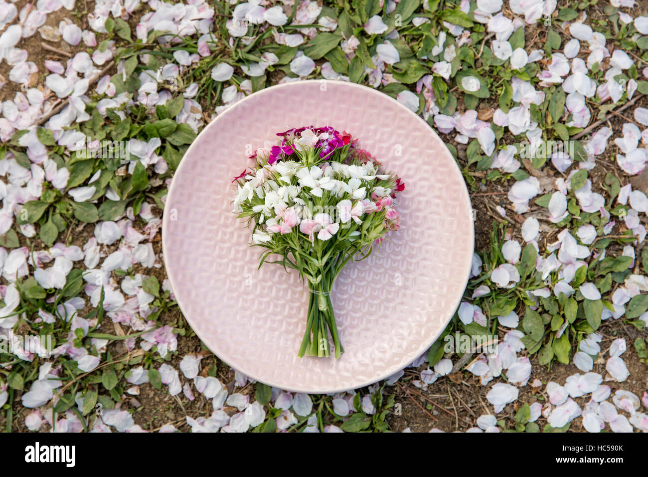 Bunch of flowers on a plate Stock Photo - Alamy