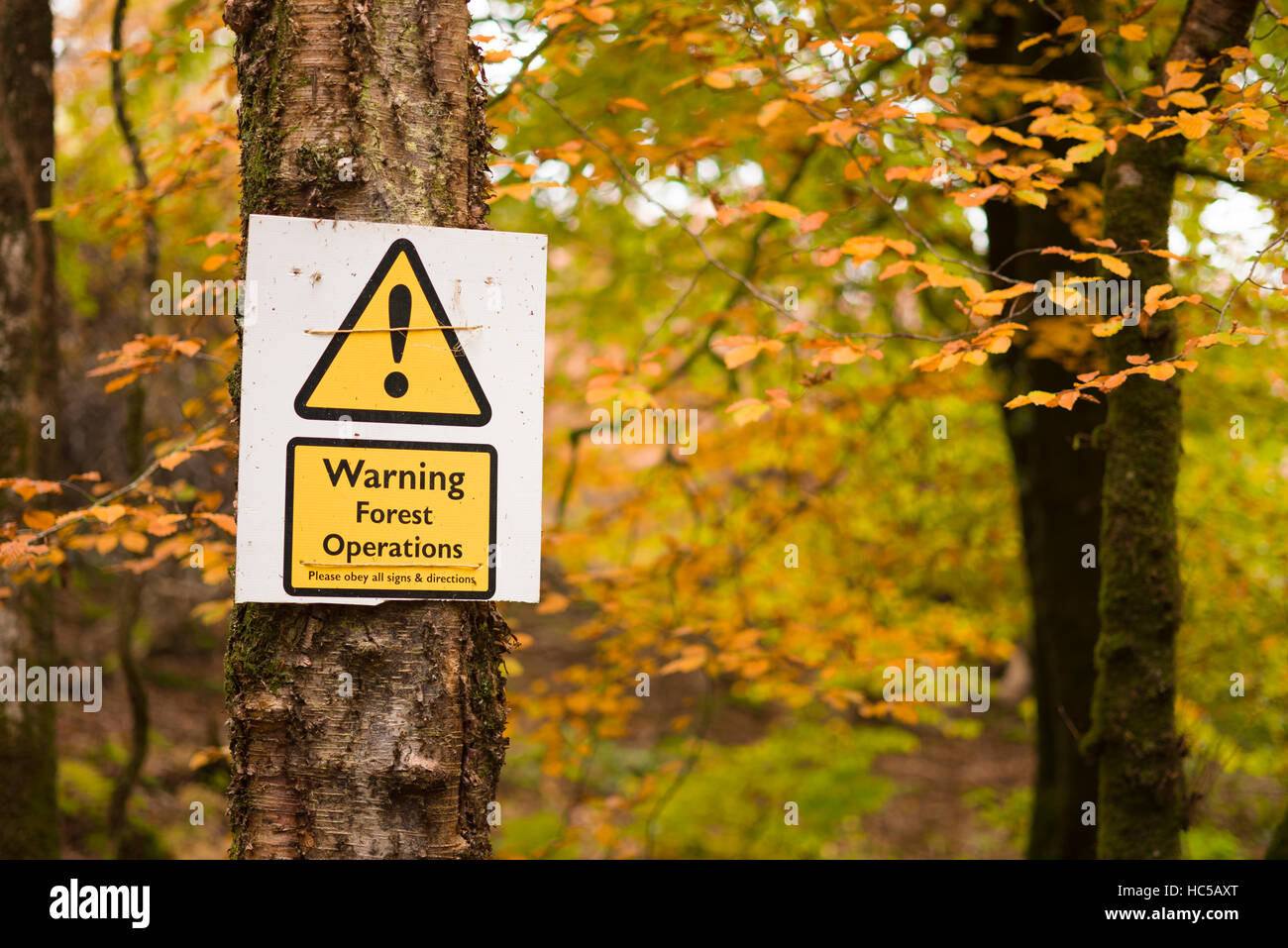 Warning forest operations sign hi-res stock photography and images - Alamy