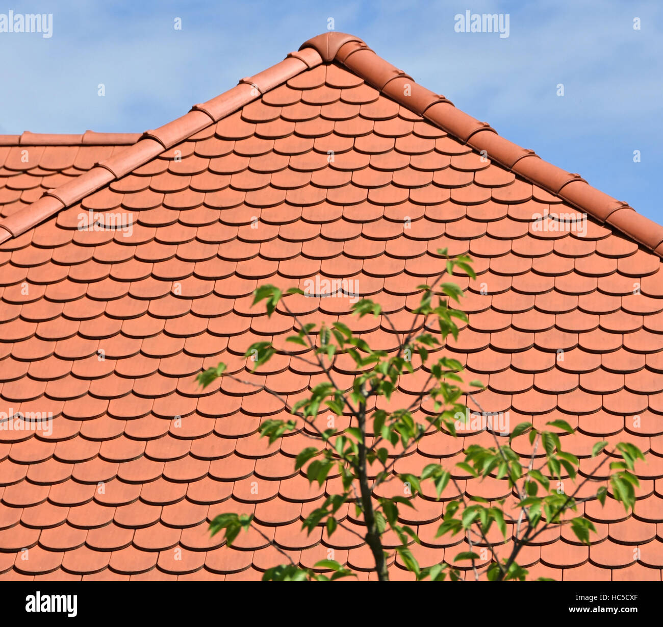 Roof tiles and tree branches Stock Photo - Alamy