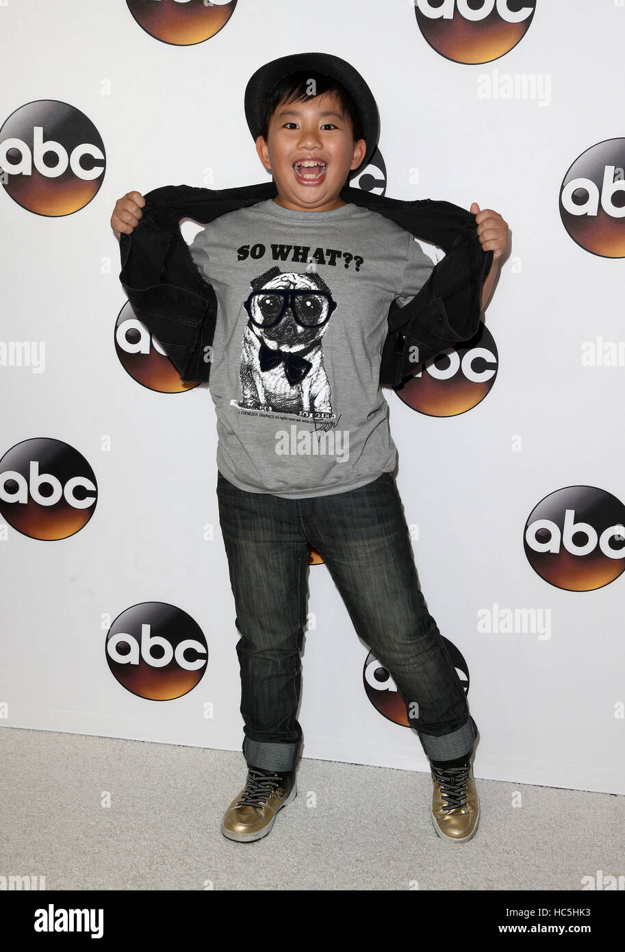 Disney ABC Television Group Hosts TCA Summer Press Tour at the Beverly ...