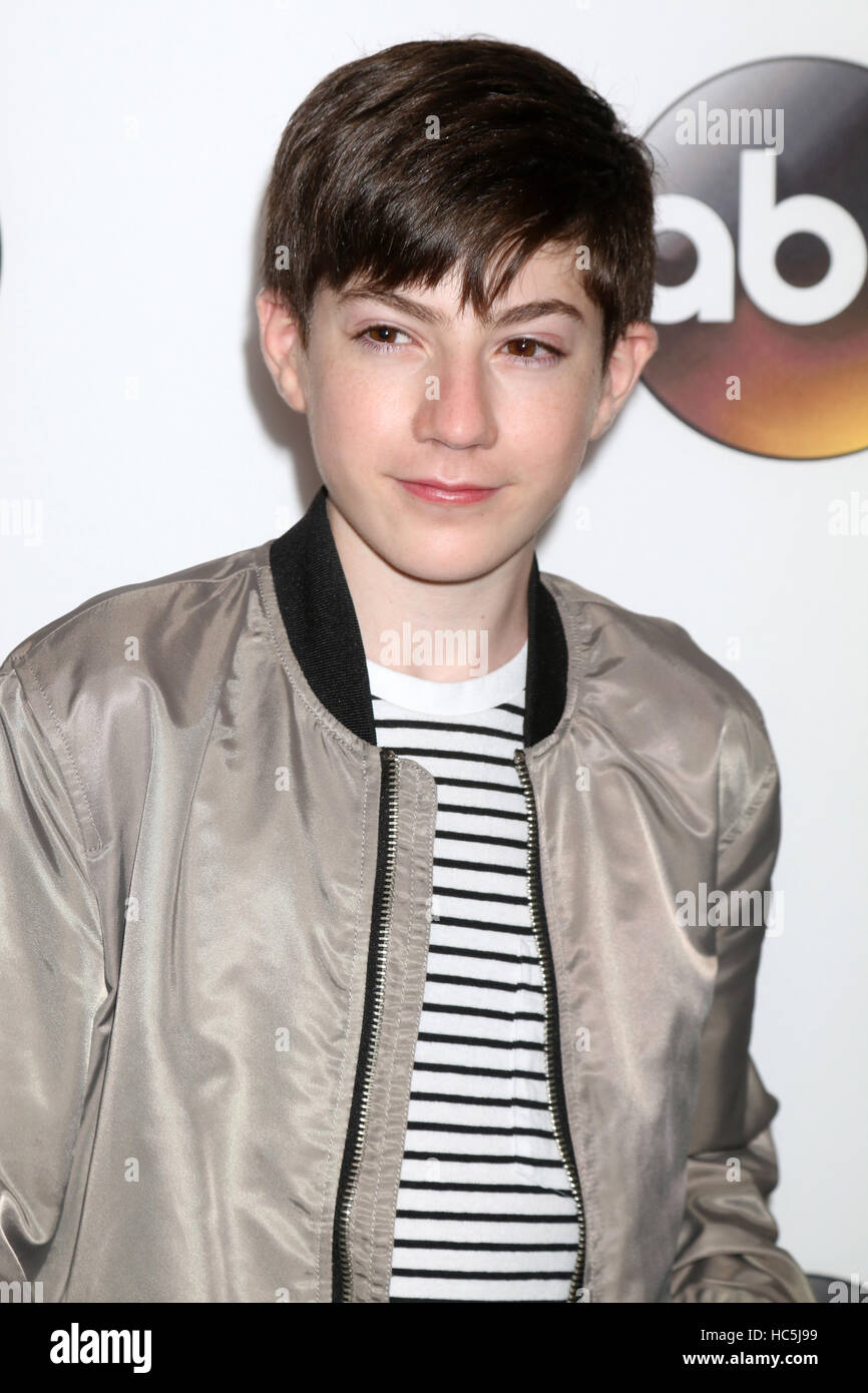 ABC TCA Summer 2016 Party at the Beverly Hilton Hotel Featuring: Mason ...