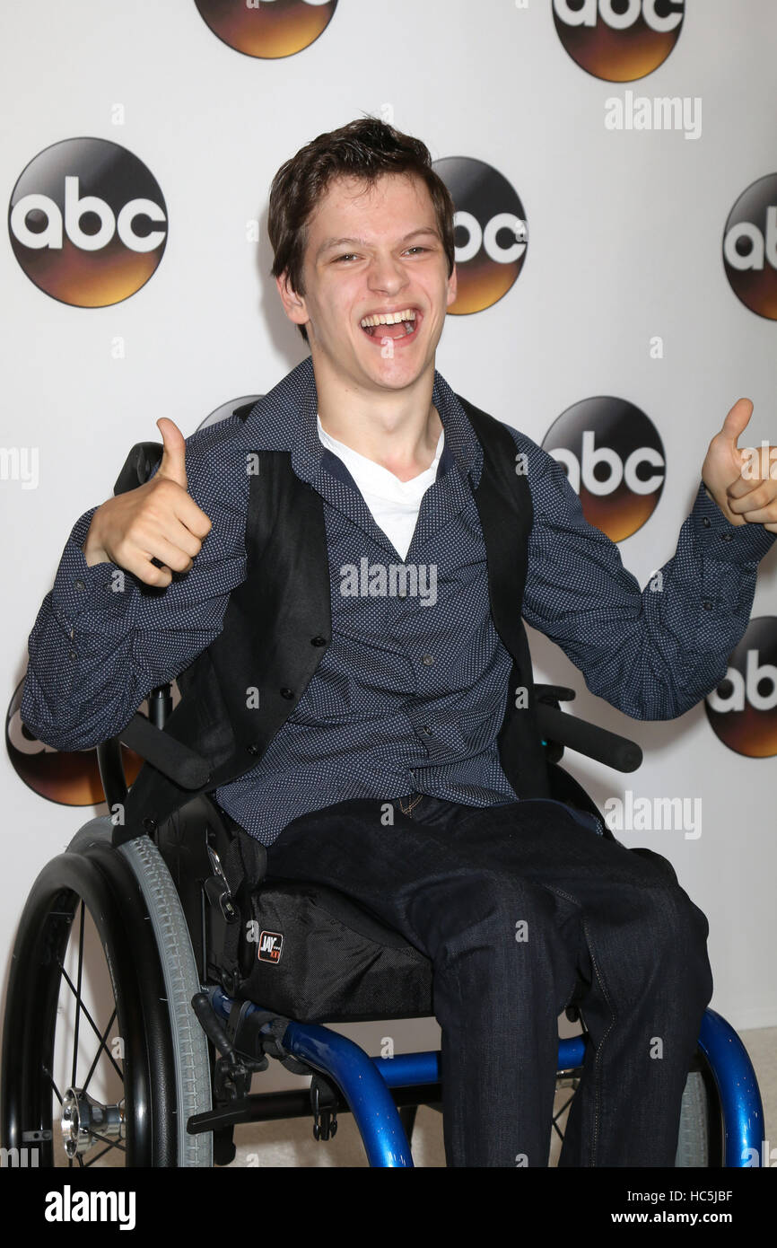 ABC TCA Summer 2016 Party at the Beverly Hilton Hotel Featuring: Micah ...