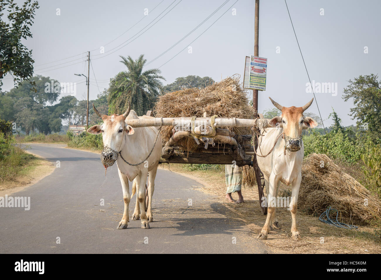 Bullock cart hi-res stock photography and images - Alamy
