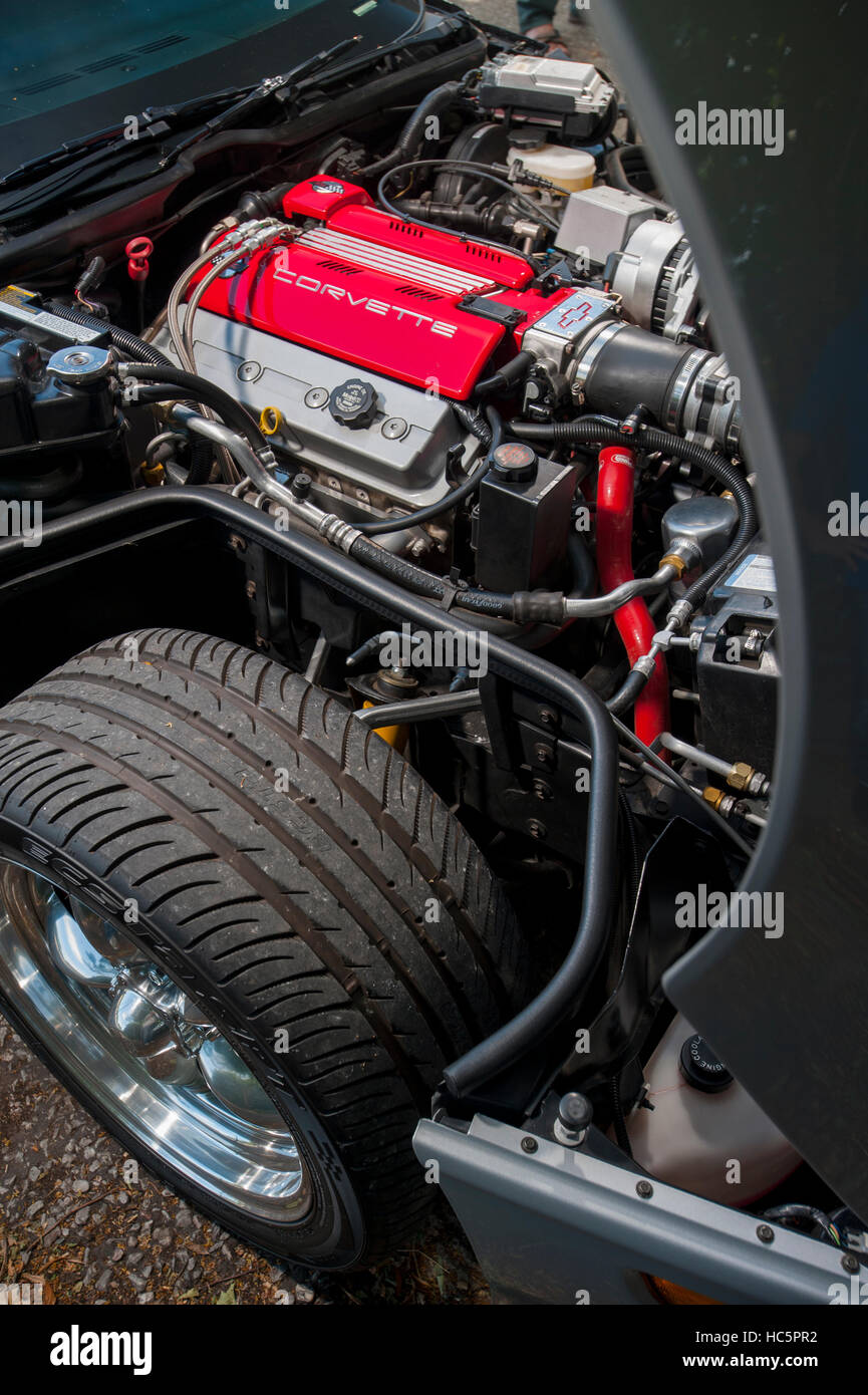 1996 'Collectors Edition' run out model C4 Corvette (1983-1996 ...