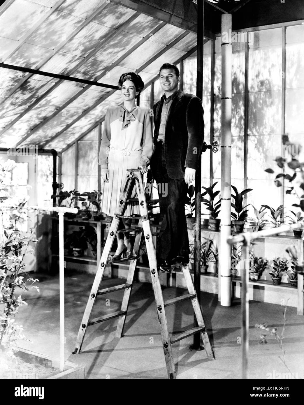 ROUGHLY SPEAKING, from left, Rosalind Russell, Jack Carson, 1945 Stock ...