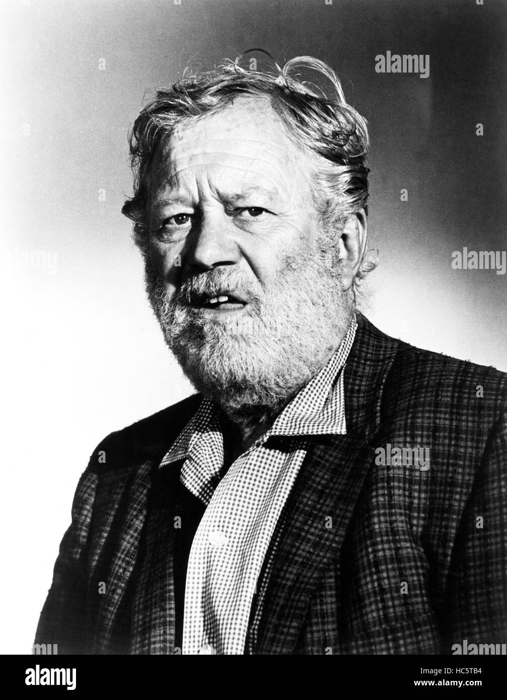 THE ROUNDERS, Edgar Buchanan, 1965 Stock Photo - Alamy
