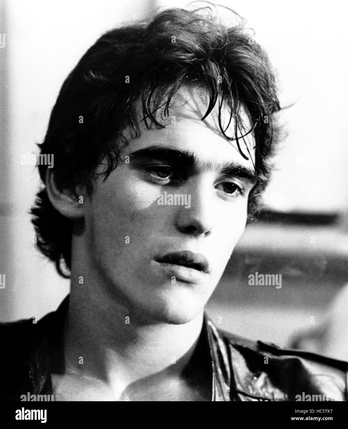 RUMBLE FISH, Matt Dillon, 1983, ©Universal/courtesy Everett Collection ...