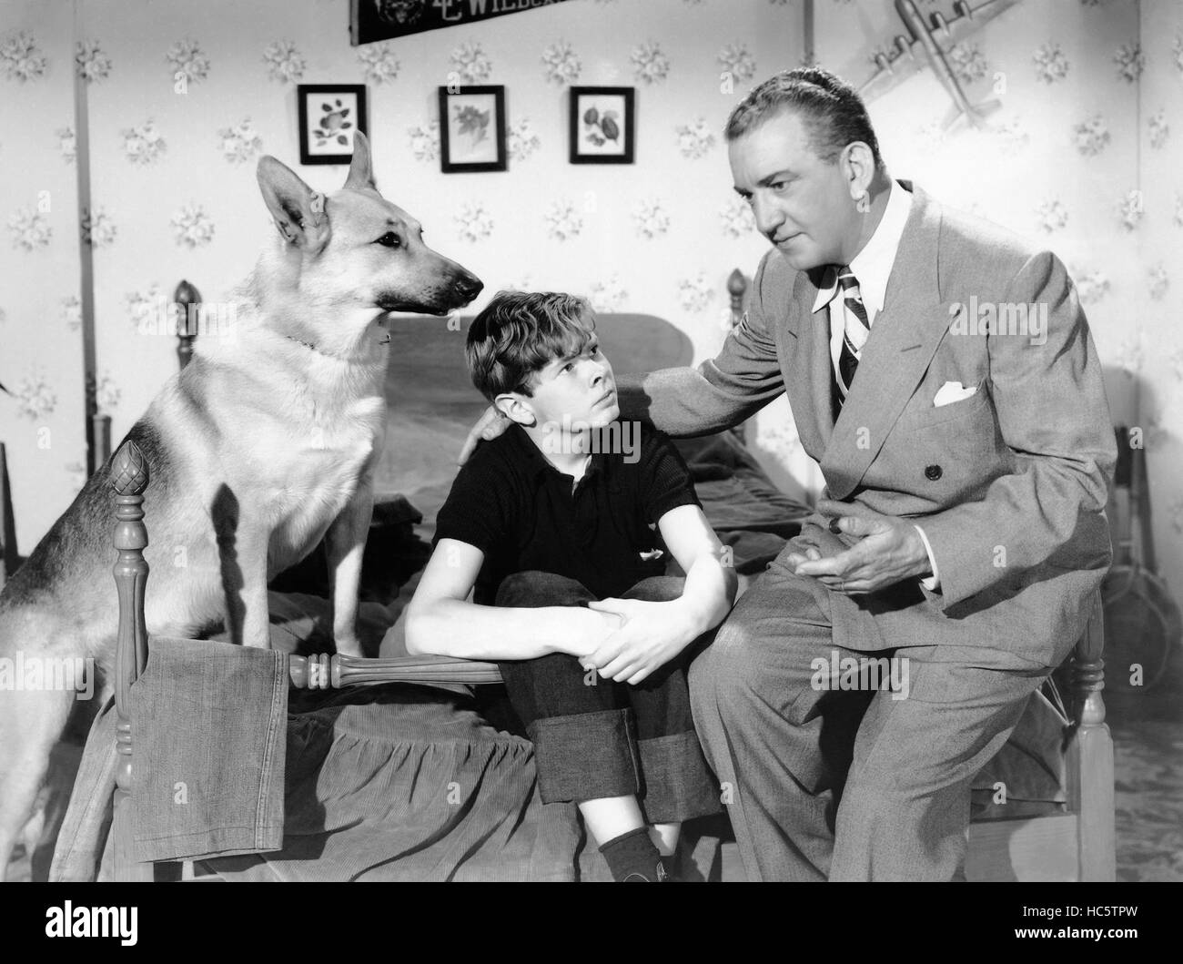 RUSTY LEADS THE WAY, from left, Flame the dog, Ted Donaldson, John ...