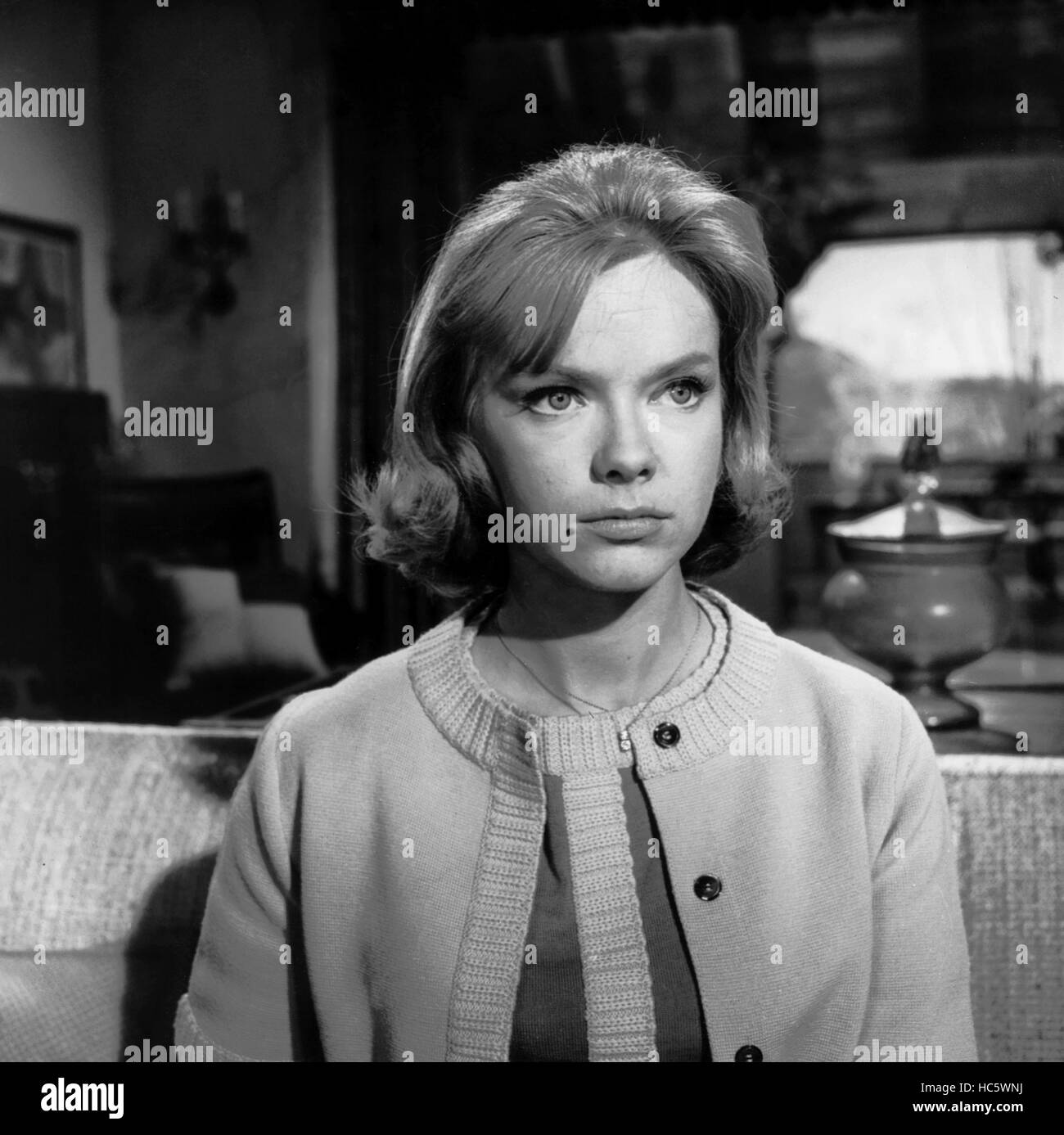 THE SATAN BUG, Anne Francis, 1965 Stock Photo - Alamy