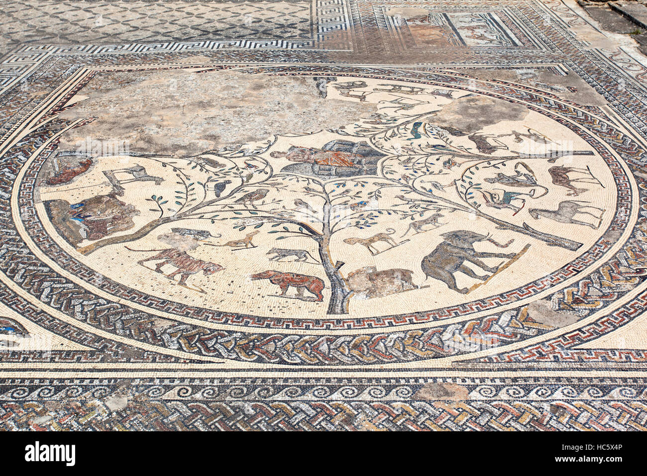 Orpheus house hi-res stock photography and images - Alamy