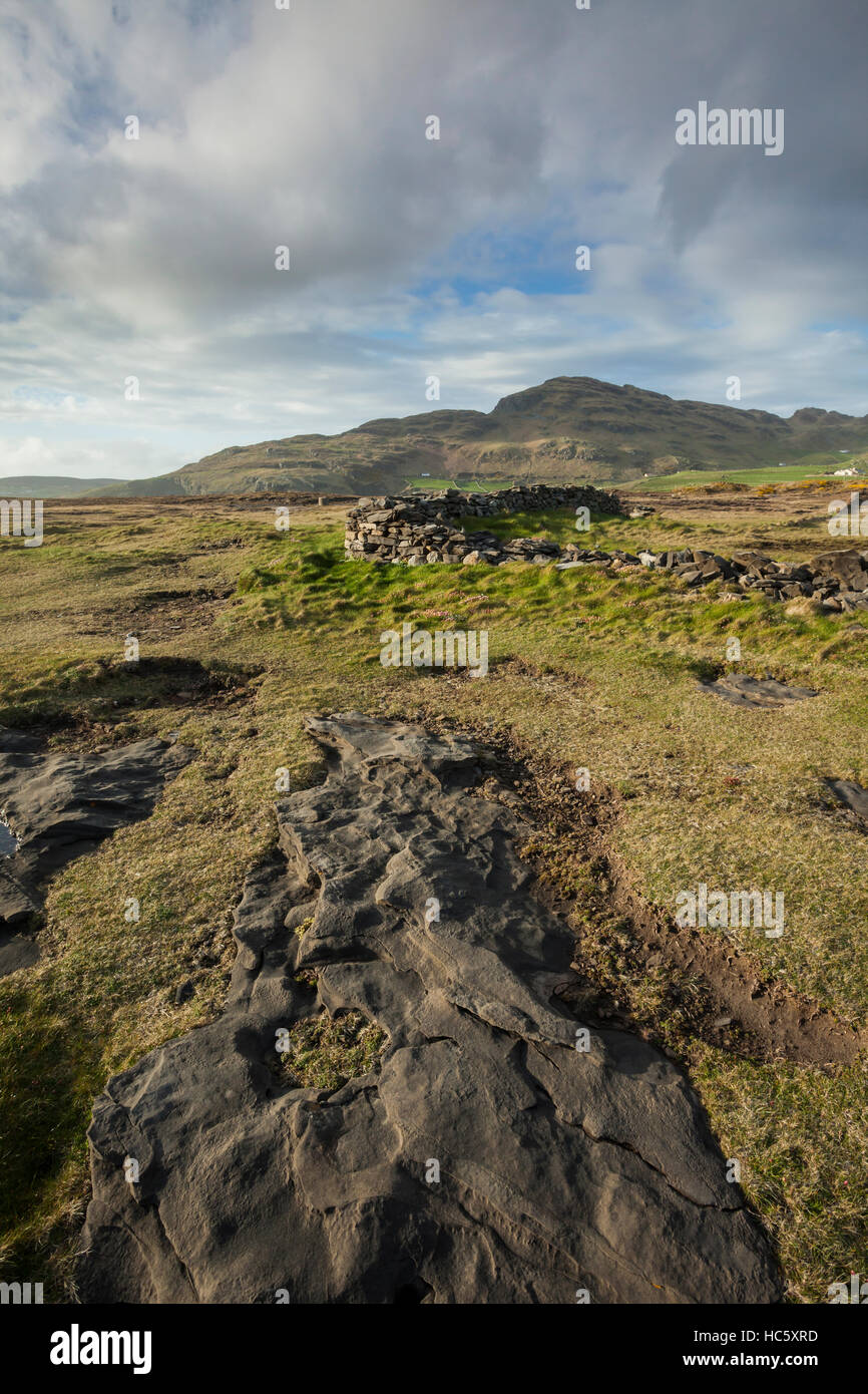 Spring afternoon in the Irish countryside, county Donegal, Ireland ...