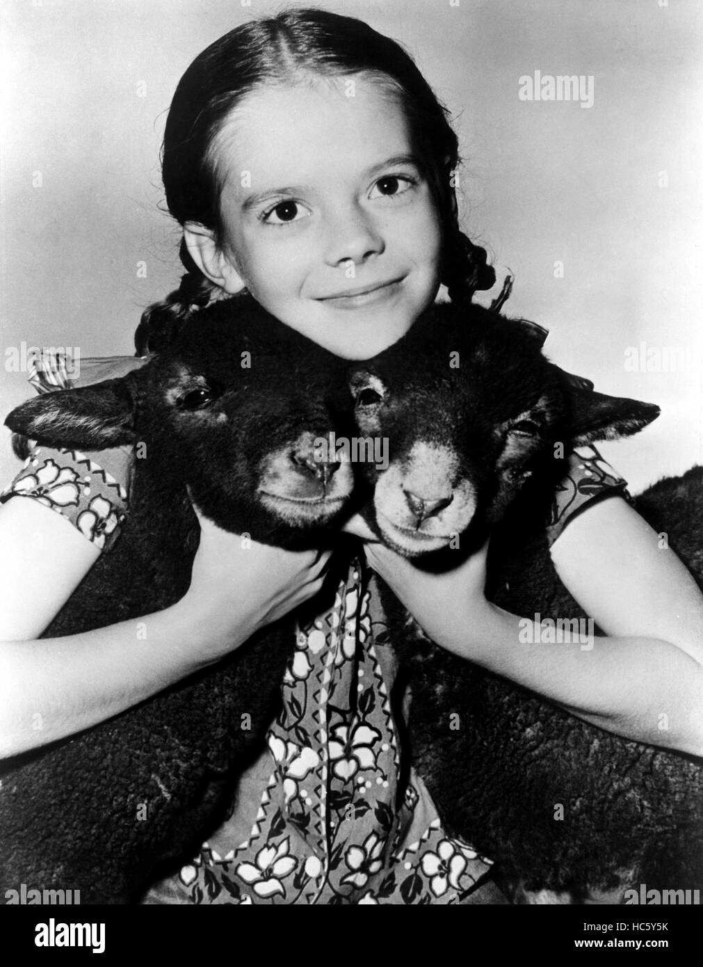 SCUDDA HOO! SCUDDA HAY!, Natalie Wood, (aka SUMMER LIGHTNING), 1948, (c ...