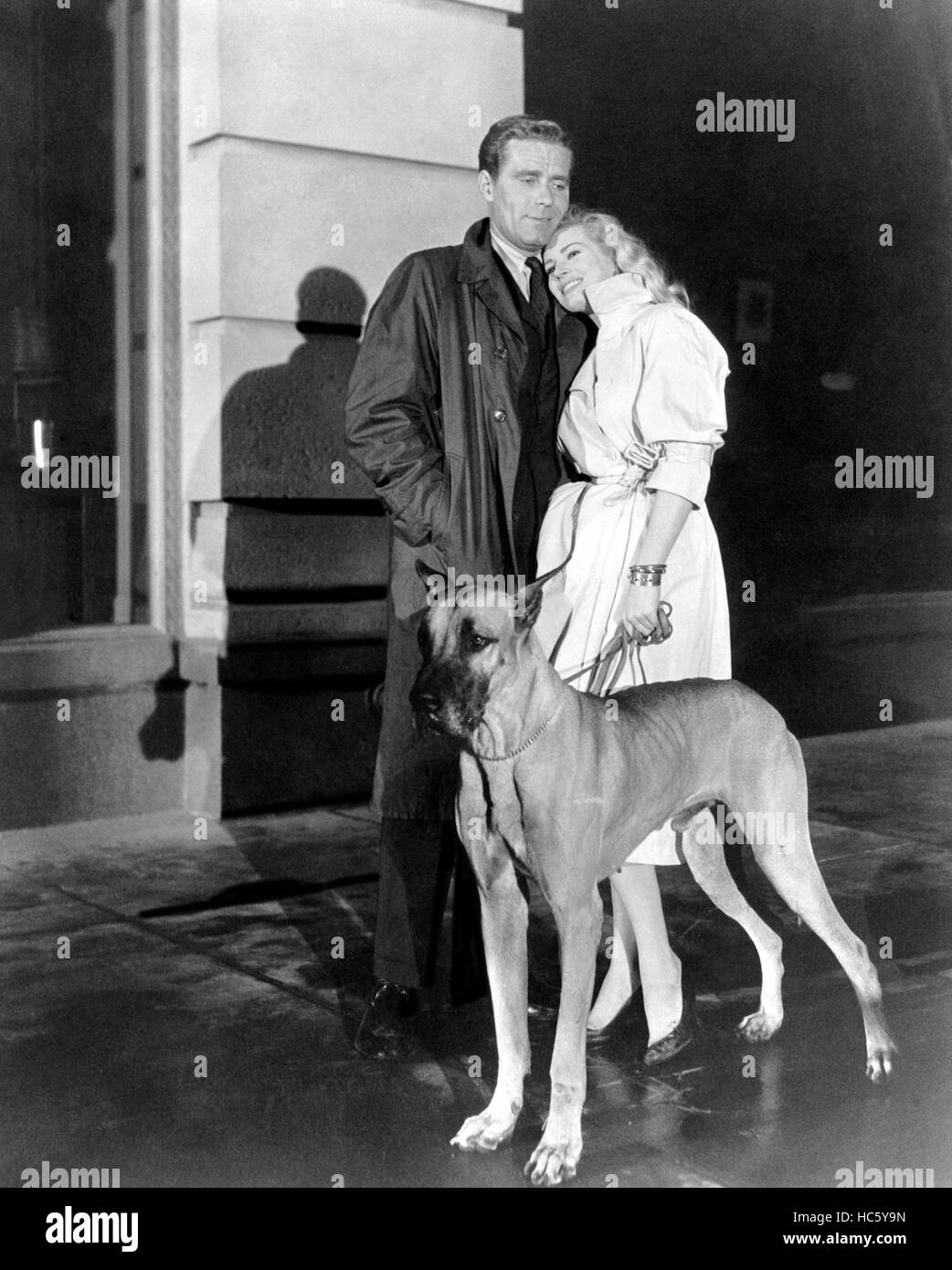 SCREAMING MIMI, Phil Carey, Anita Ekberg, 1958 Stock Photo - Alamy SCREAMING MIMI, Phil Carey, Anita Ekberg, 1958 Stock Photo - Alamy