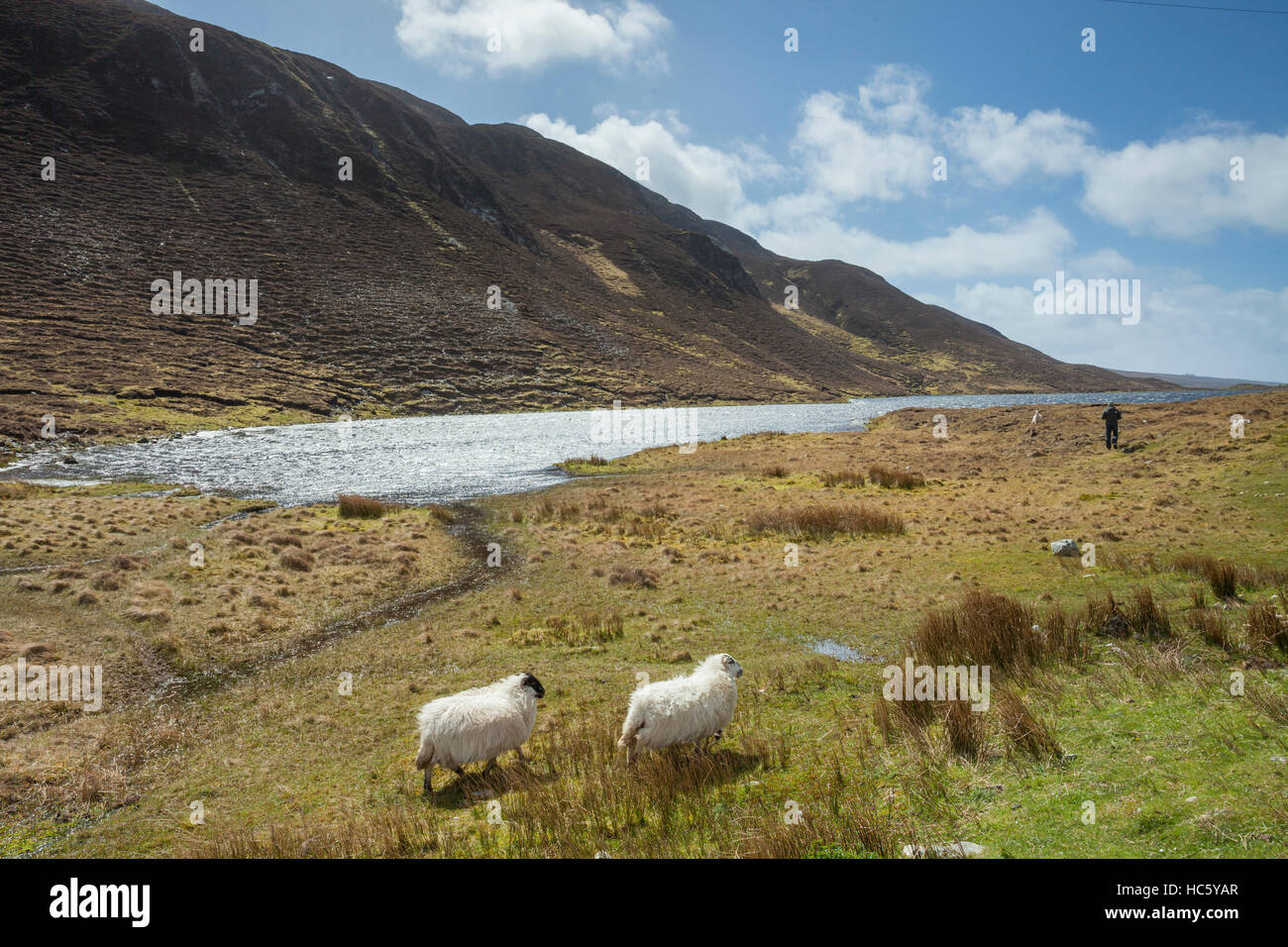Spring day in the Irish countryside, county Donegal, Ireland Stock ...
