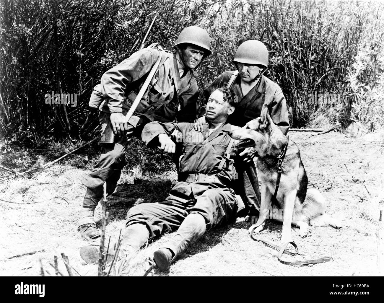 SERGEANT MIKE, Larry Parks, (left), 1944 Stock Photo - Alamy