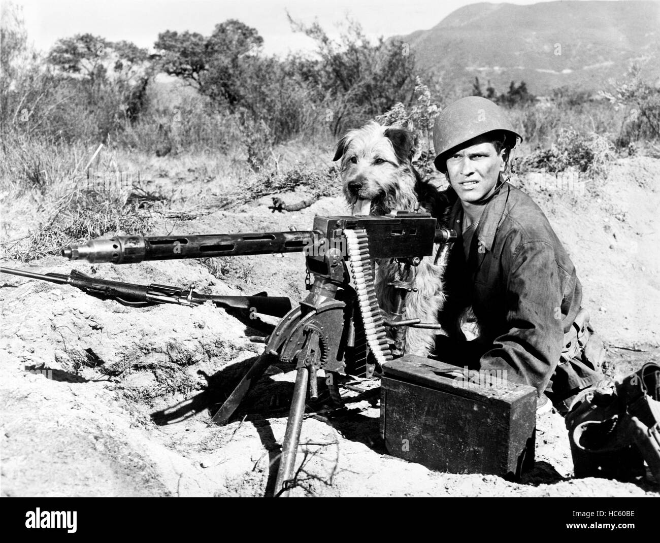 SERGEANT MIKE, Loren Tindall, 1944 Stock Photo - Alamy
