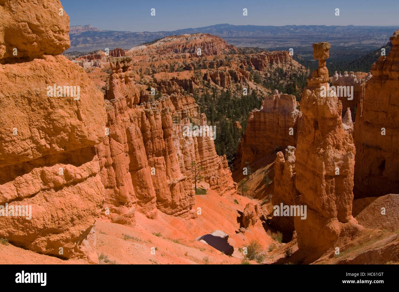 U.S.A. UTAH; BRYCE CANYON NATIONAL PARK HOODOOS VIEWED FROM SUMMIT EDGE ...