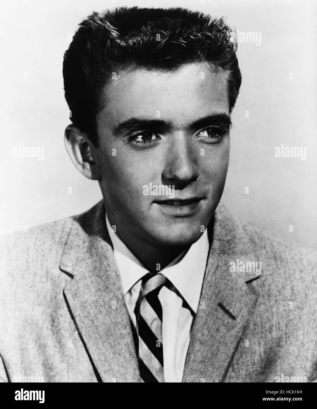 THE SHAGGY DOG, Tim Considine, 1959 Stock Photo - Alamy