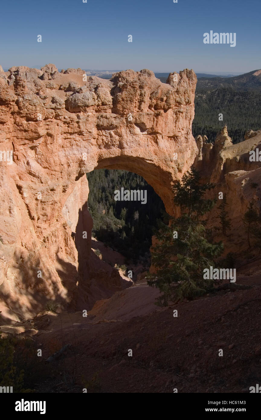 U.S.A. UTAH; BRYCE CANYON NATIONAL PARK NATURAL ARCH FROM NATURAL ...