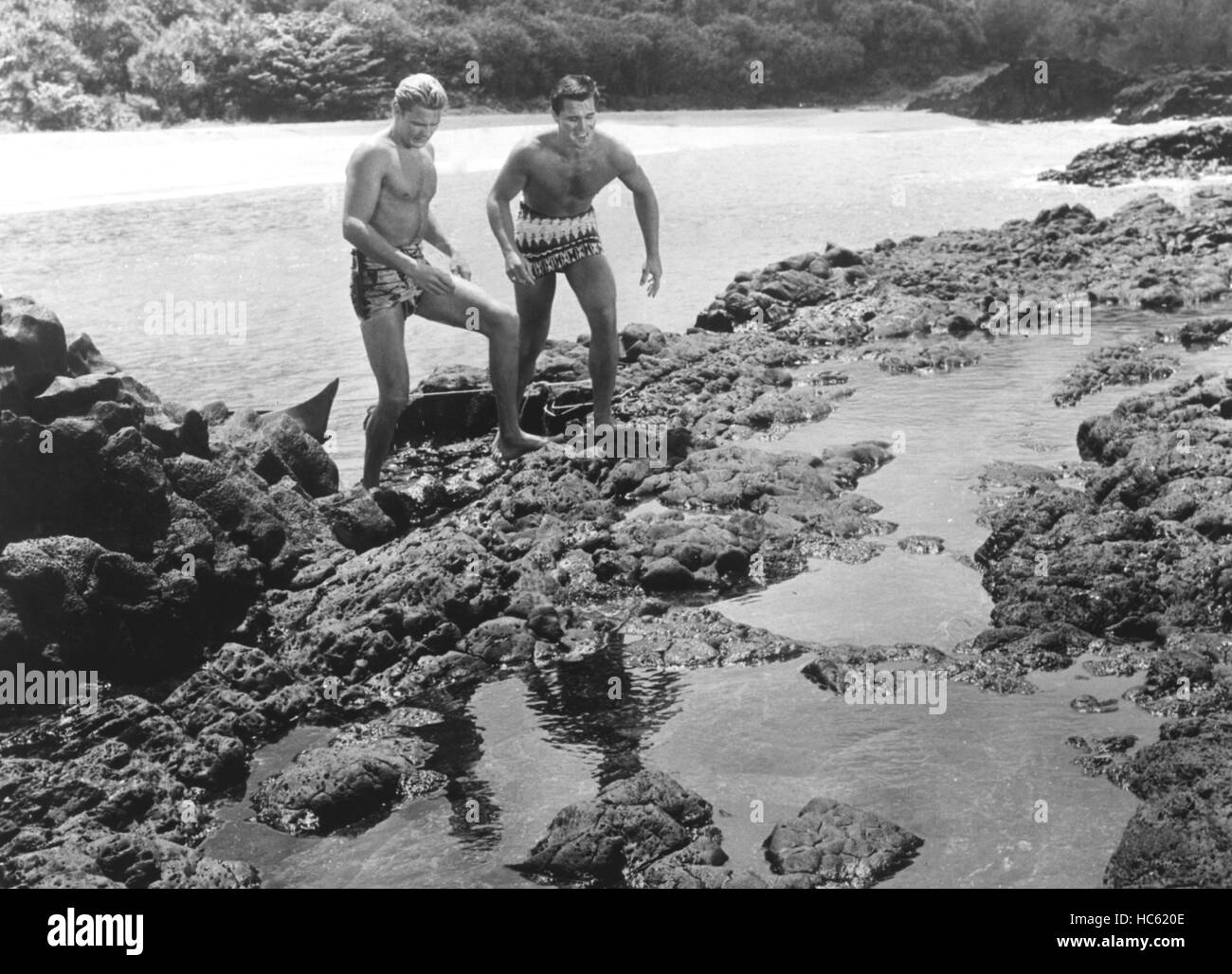 SHE GODS OF SHARK REEF, Bill Cord, Don Durant, 1958 Stock Photo - Alamy