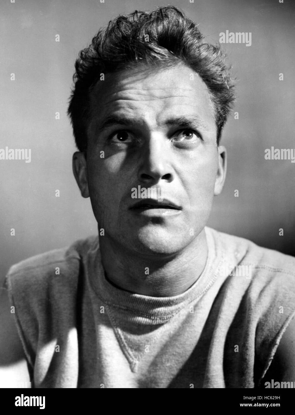 SHADOW IN THE SKY, Ralph Meeker, 1952 Stock Photo - Alamy
