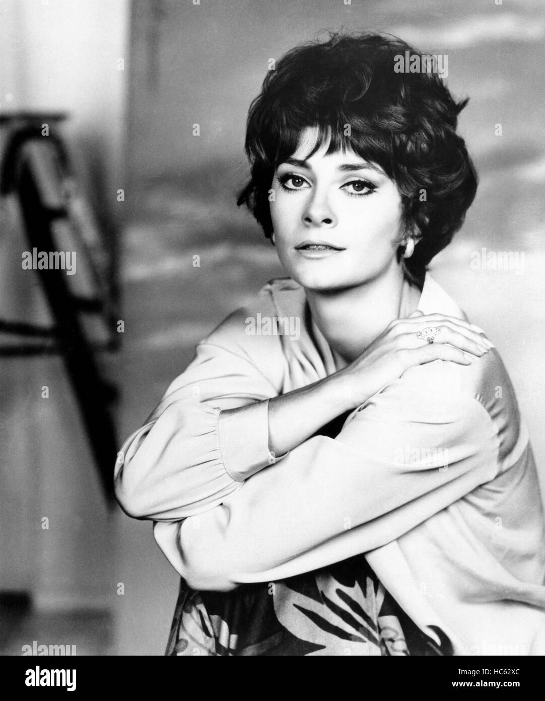 SHIP OF FOOLS, Elizabeth Ashley, 1965 Stock Photo - Alamy