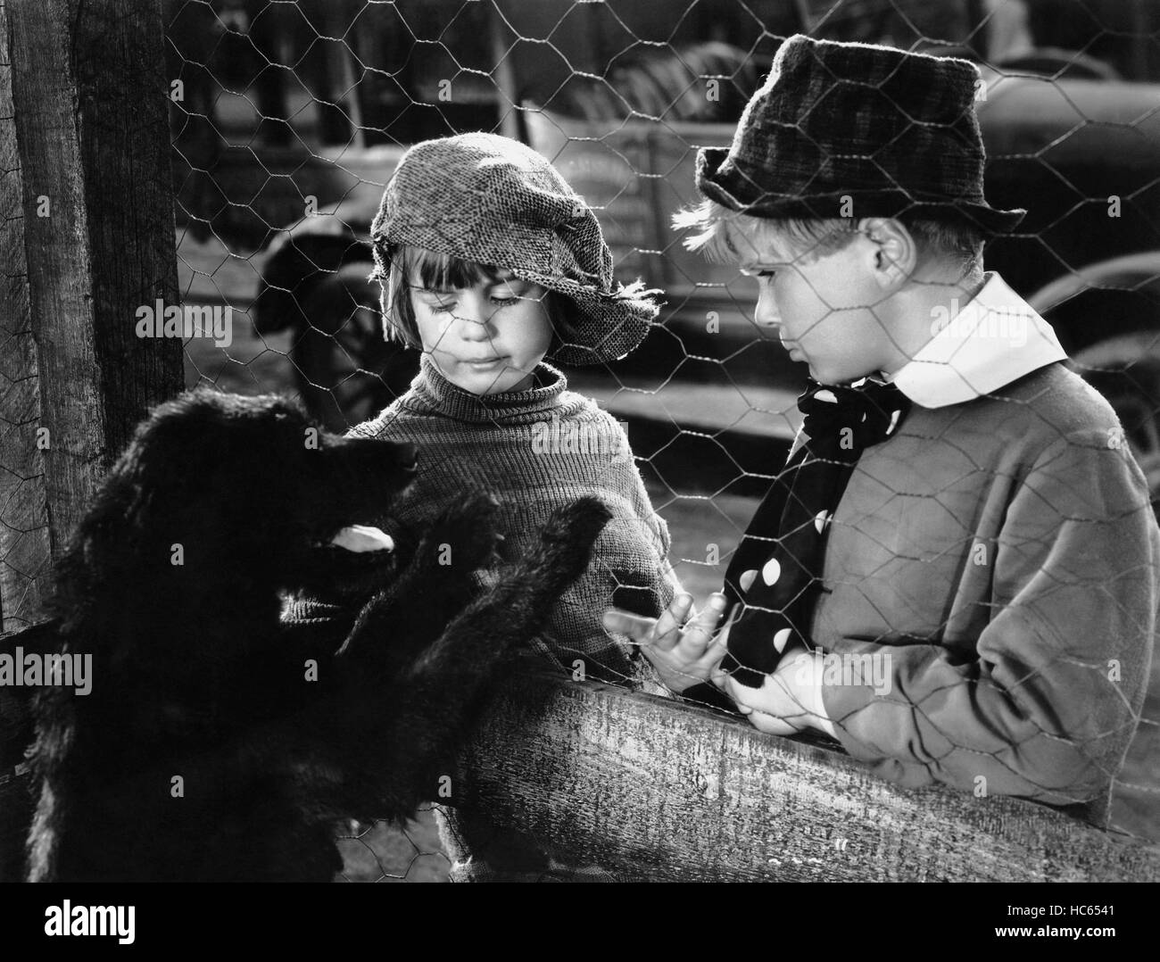 SKIPPY, Robert Coogan, Jackie Cooper, 1931 Stock Photo - Alamy