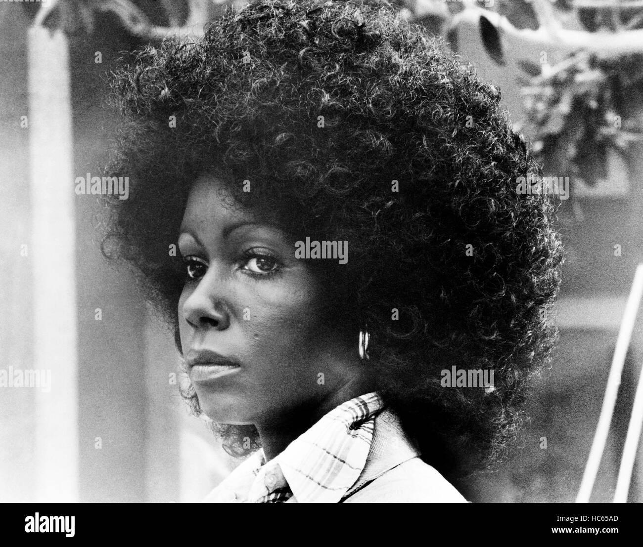 THE SLAMS, Judy Pace, 1973 Stock Photo - Alamy
