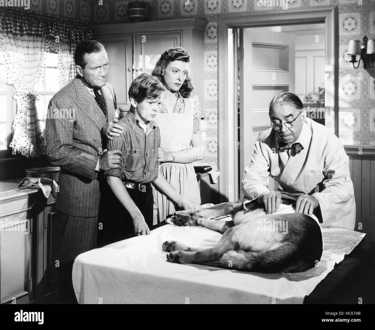 THE SON OF RUSTY, from left: Tom Powers, Ted Donaldson, Ann Doran ...