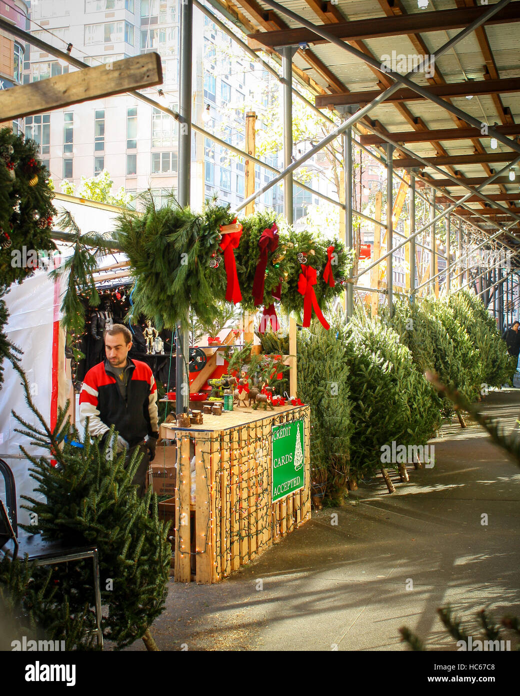 Selling trees hi-res stock photography and images - Alamy