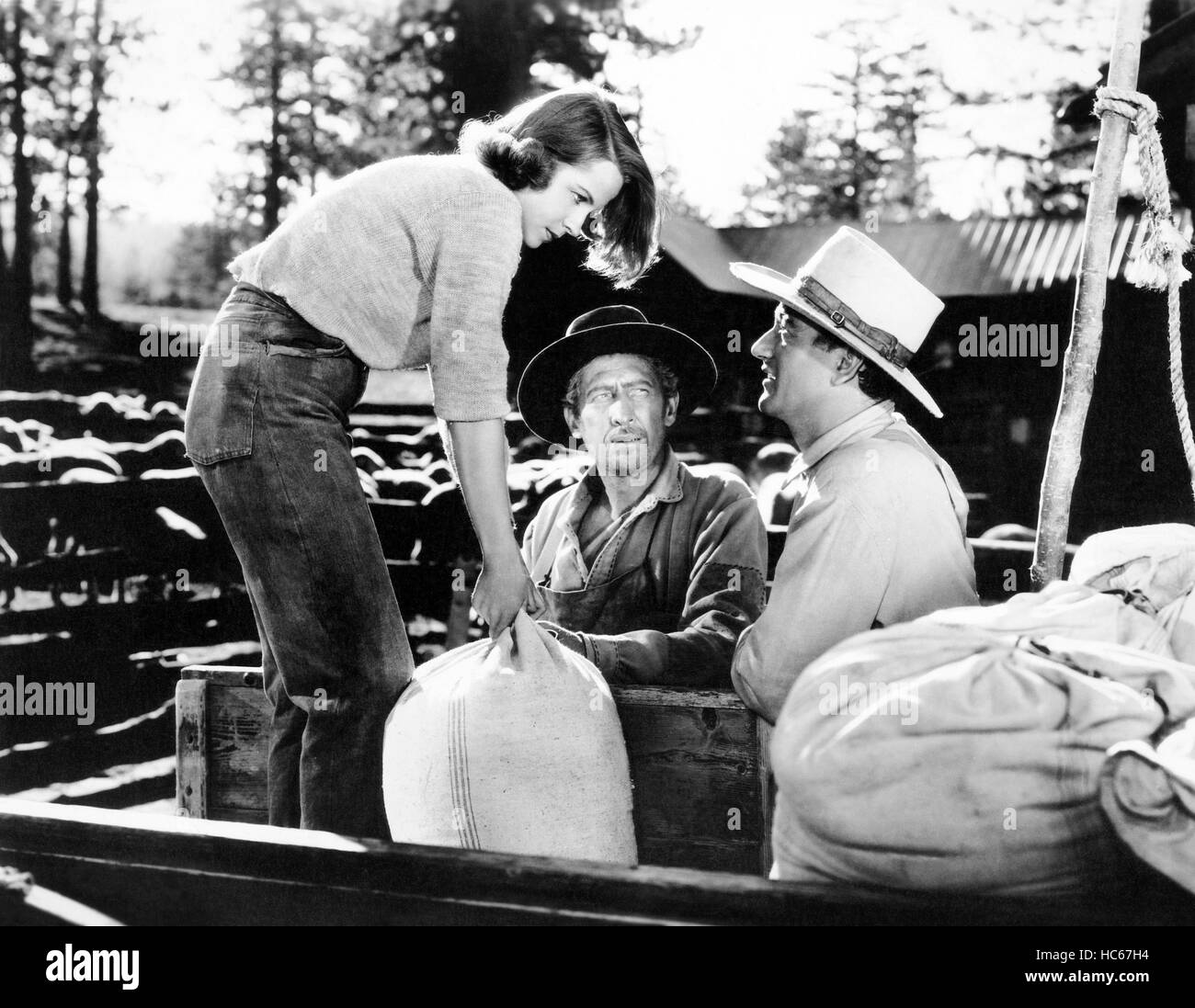 THE SHEPHERD OF THE HILLS, Betty Field (left), John Wayne (right), 1941 ...