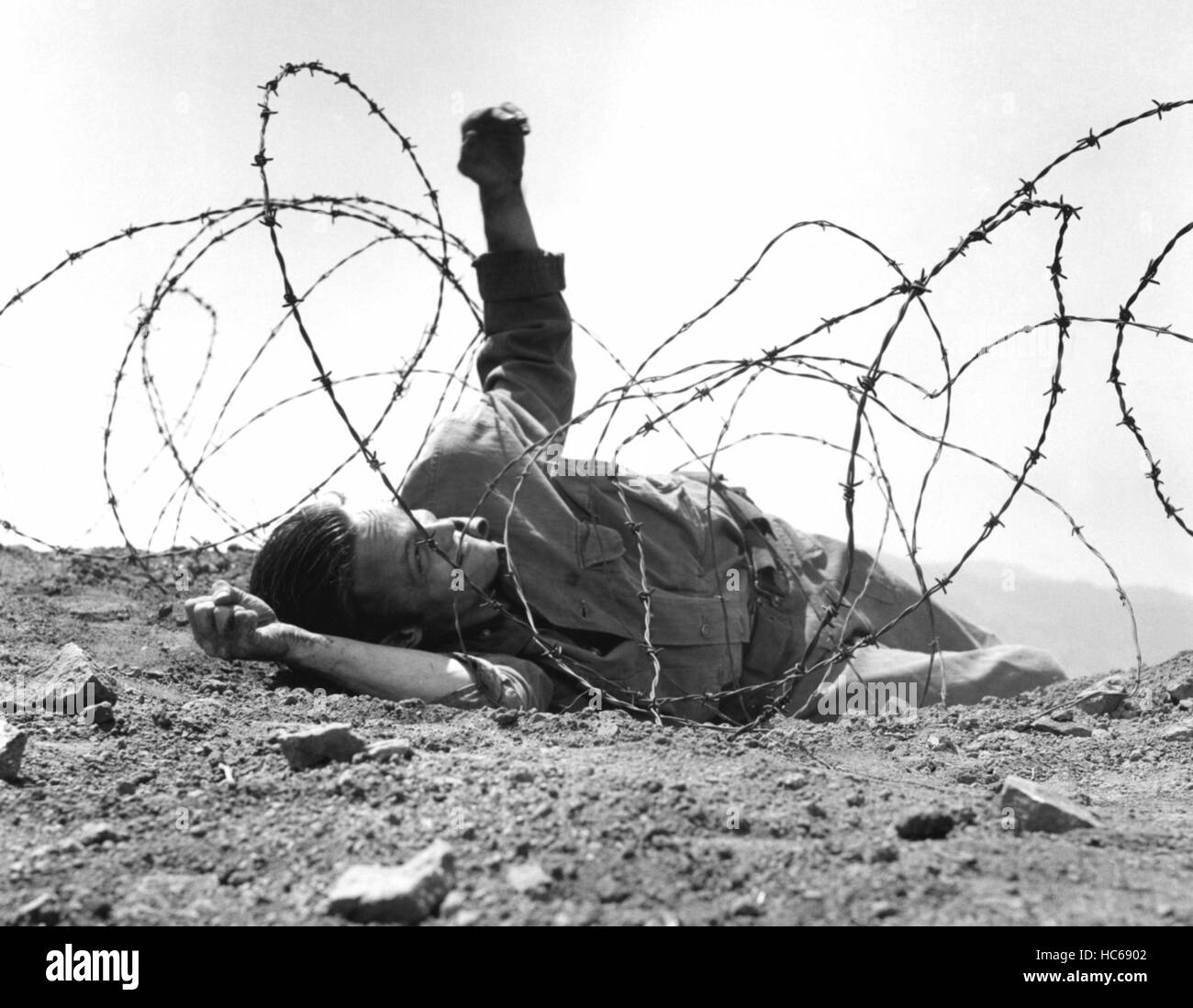 SHELL SHOCK, Beach Dickerson, 1964 Stock Photo - Alamy